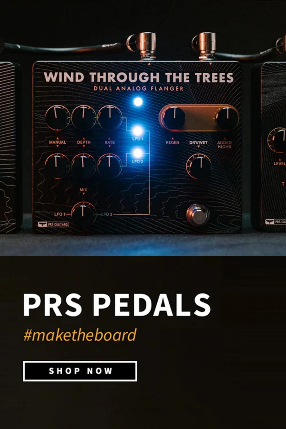 accessories - prsguitarsthailand